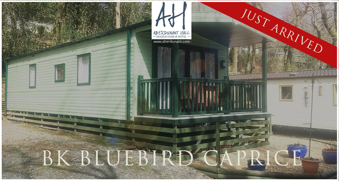2015 BK Bluebird Caprice For Sale in North Wales